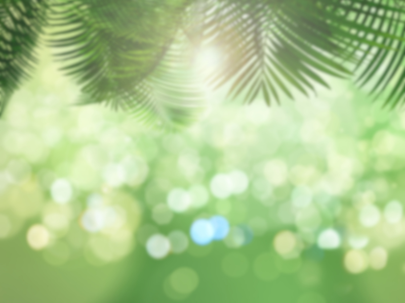 ecoybyra.netlify.app - urlscan.io