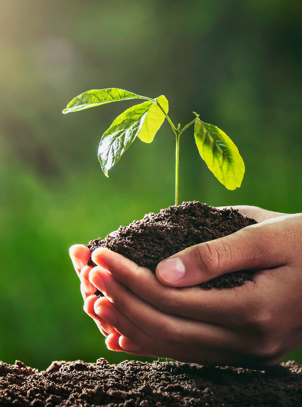 ecoybyra.netlify.app - urlscan.io